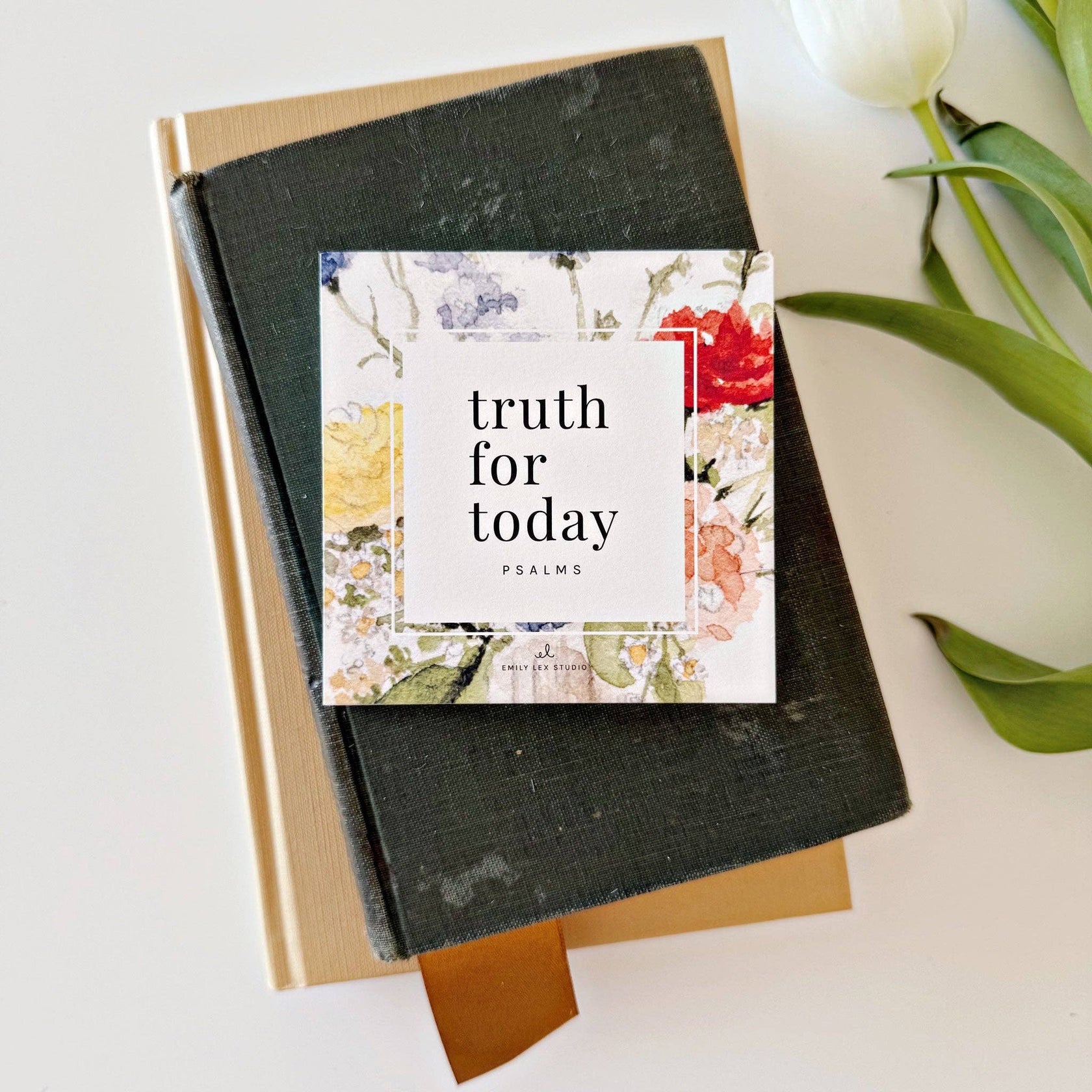 Truth for today psalms cards – The Olive Branch Boutique